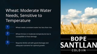 Climate-Resilience-Millets-vs-Rice-and-Wheat.pptx