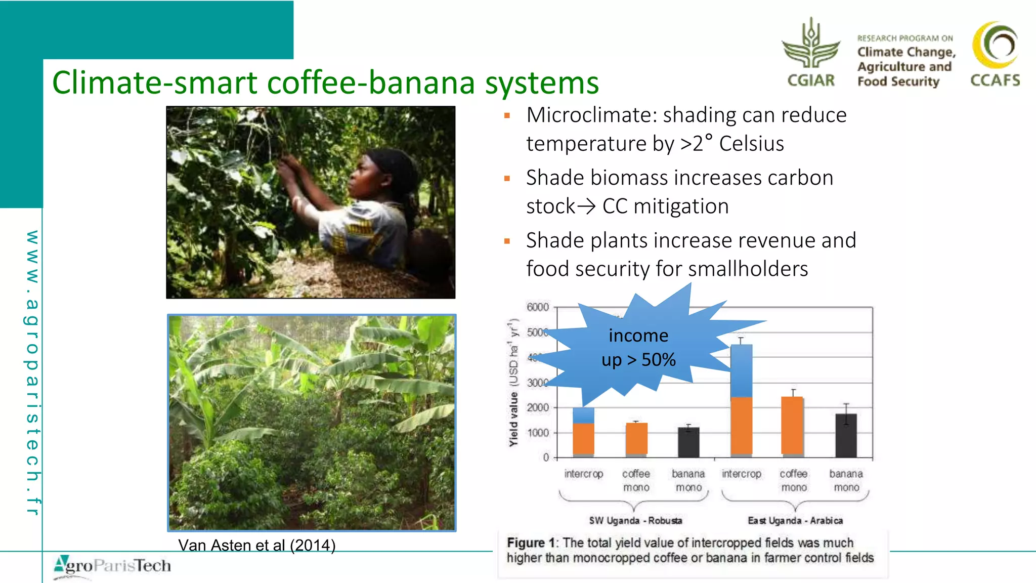 Climate smart agriculture and its benefits for ecosystems and food ...