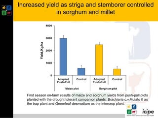 Climate smart push-pull a conservation agriculture technology for food ...