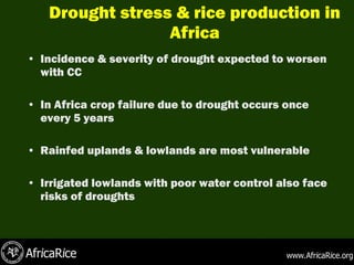 Climate change: Impacts and strategies on rice production in Africa | PPT