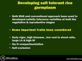 Climate change: Impacts and strategies on rice production in Africa | PPT