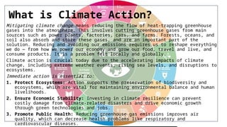 CLIMATE ACTION and environmental issues.pptx