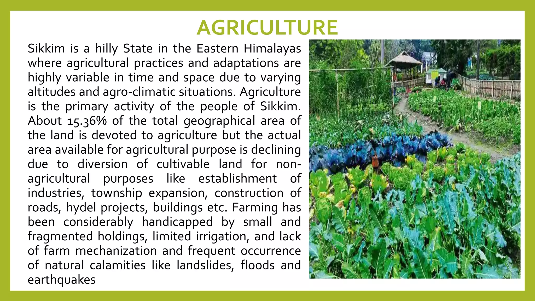 CLIMATE AND AGRICULTURE OF SIKKIM.pptx