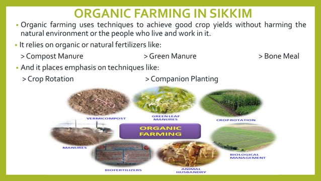 CLIMATE AND AGRICULTURE OF SIKKIM.pptx | Agriculture | Industries
