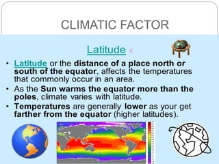 CLIMATE AND WEATHER.pptx