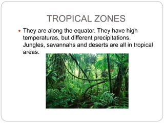 CLIMATE AND WEATHER.pptx