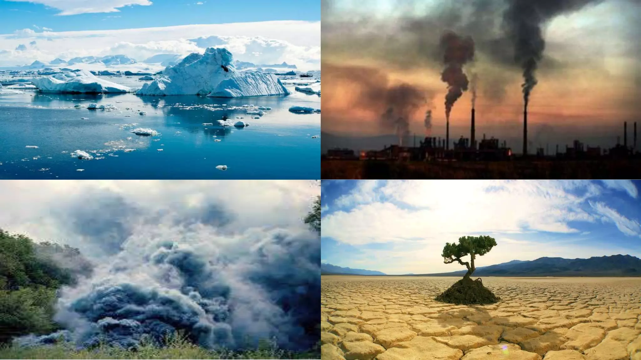 Climate Change - Causes & Effects | PPTX
