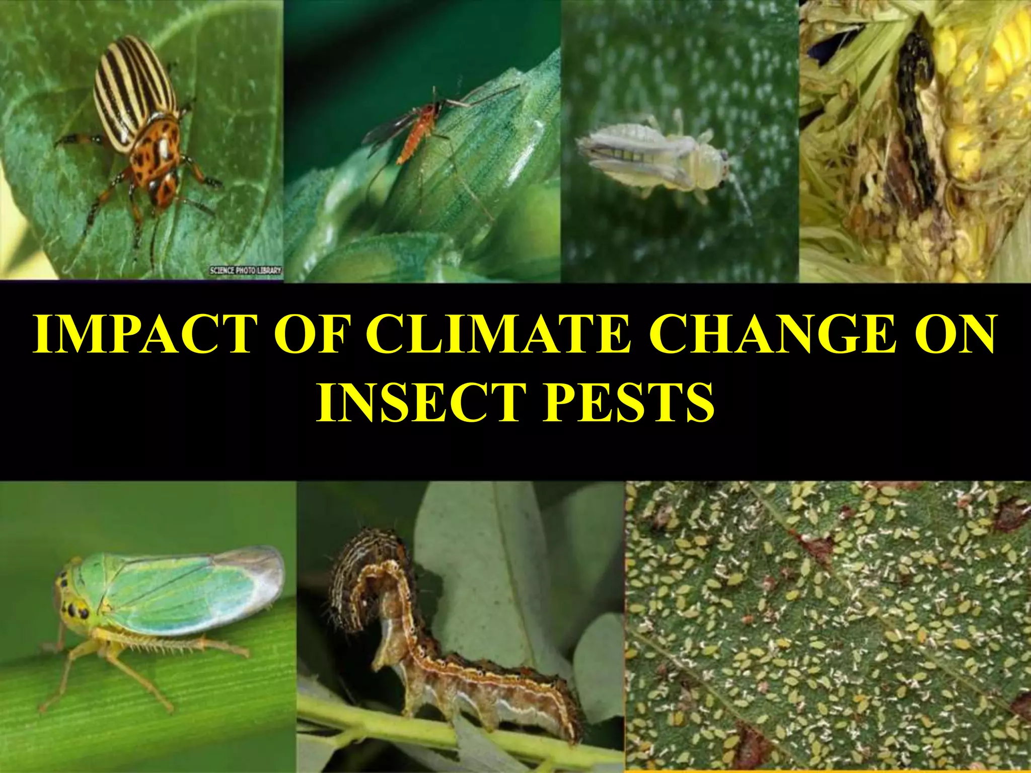 Effect of Climatic Change on Harmful insect pests and Beneficial ...