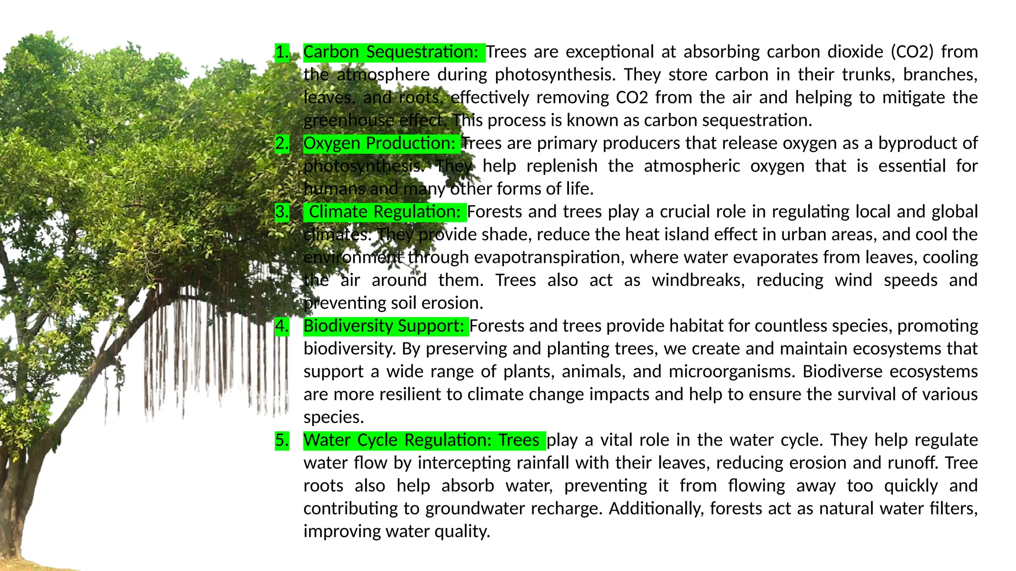 CLIMATE CHANGE Presenatation.pptx