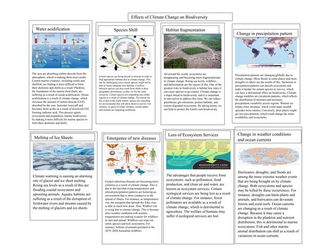 climate change PowerPoint presentation.ppt