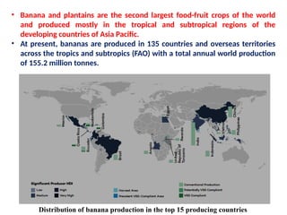 Effect of Climate change on banana production.pptx