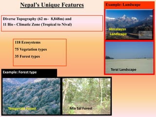 Climate change and it's biological impacts in Nepal | PPTX