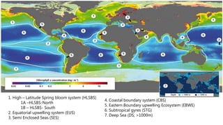 Climate change ,adaptation and mitigation in fisheries | PPTX