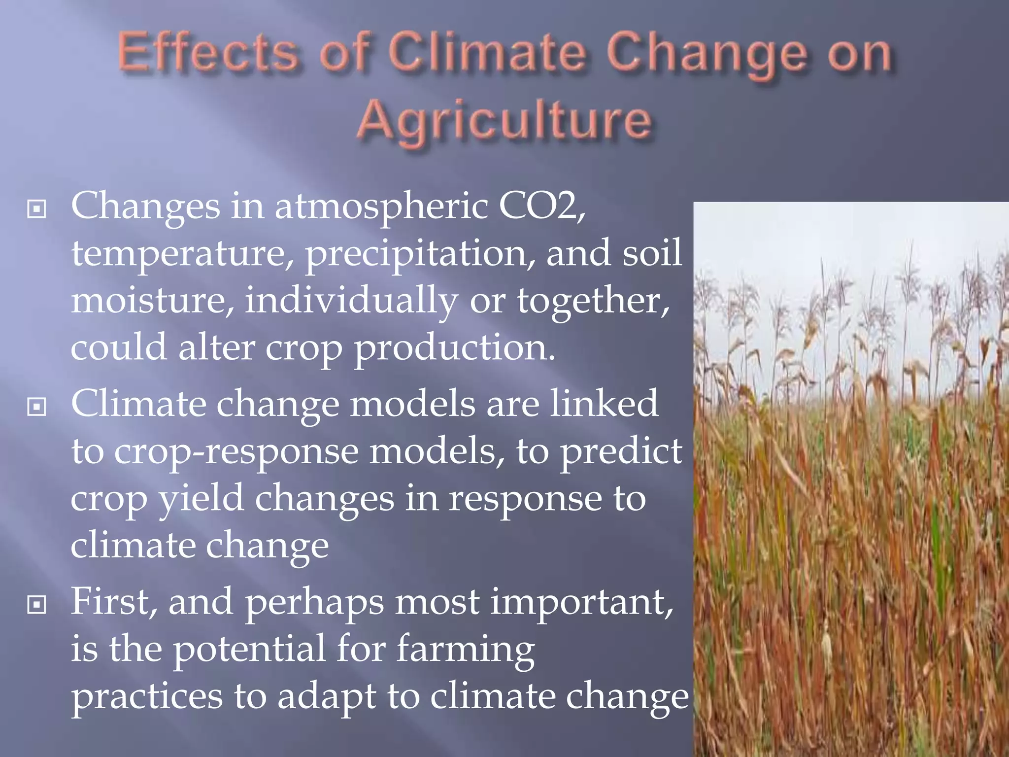 Climate Change and Agriculture by Muhammad Qasim & Aroj Bashir | PPTX