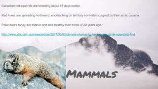 How Does Climate Change Affect Animal Behavior | PPTX