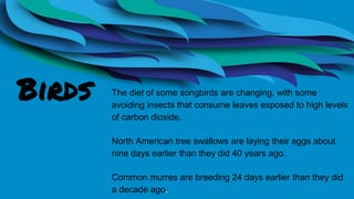 How Does Climate Change Affect Animal Behavior | PPTX