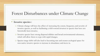 Forests and Climate Change | PPTX