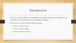Forests and Climate Change | PPTX