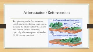 Forests and Climate Change | PPTX