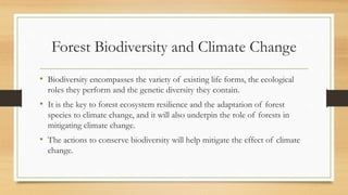 Forests and Climate Change | PPTX