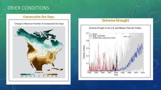Climate change and ecosystem | PPTX