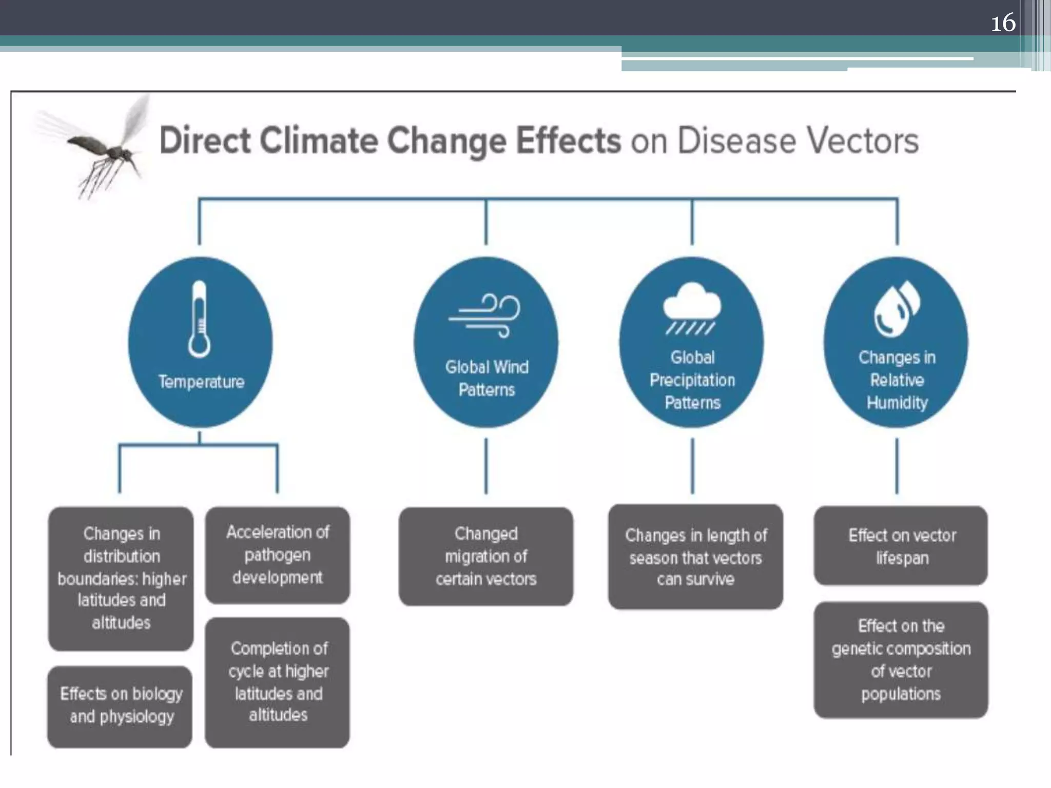 Climate change and emerging infectious and vector diseases | PPTX