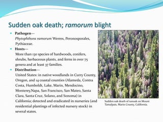 Climate change and forest diseases | PPT