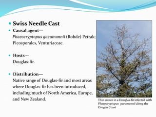 Climate change and forest diseases | PPT