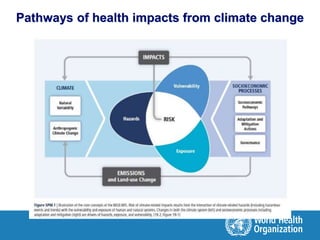 climate change and health and the roles of physicians | PPTX