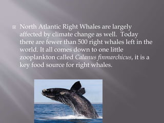 Climate change and its effects on marine life ppt. | PPTX