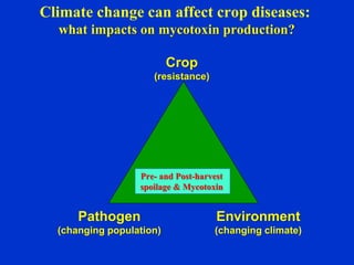 Climate change and mycotoxins | PPTX