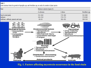 Climate change and mycotoxins | PPTX