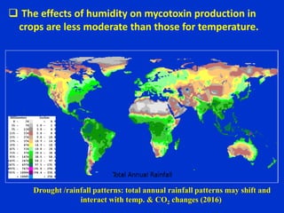 Climate change and mycotoxins | PPTX