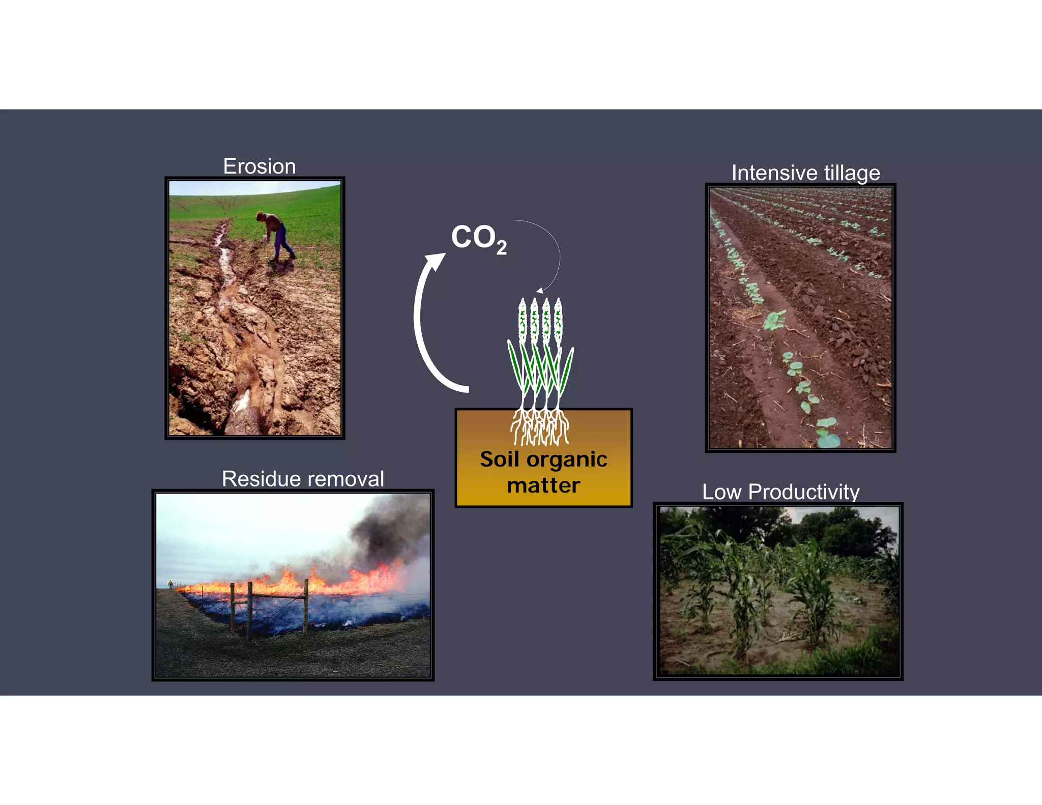 Climate change and nrcs practices chambers | PDF
