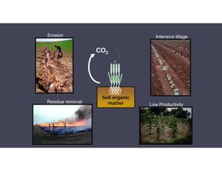 Climate change and nrcs practices chambers | PDF