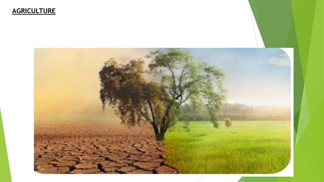 Climate Change Policy Of pakistan Presentation | PPT