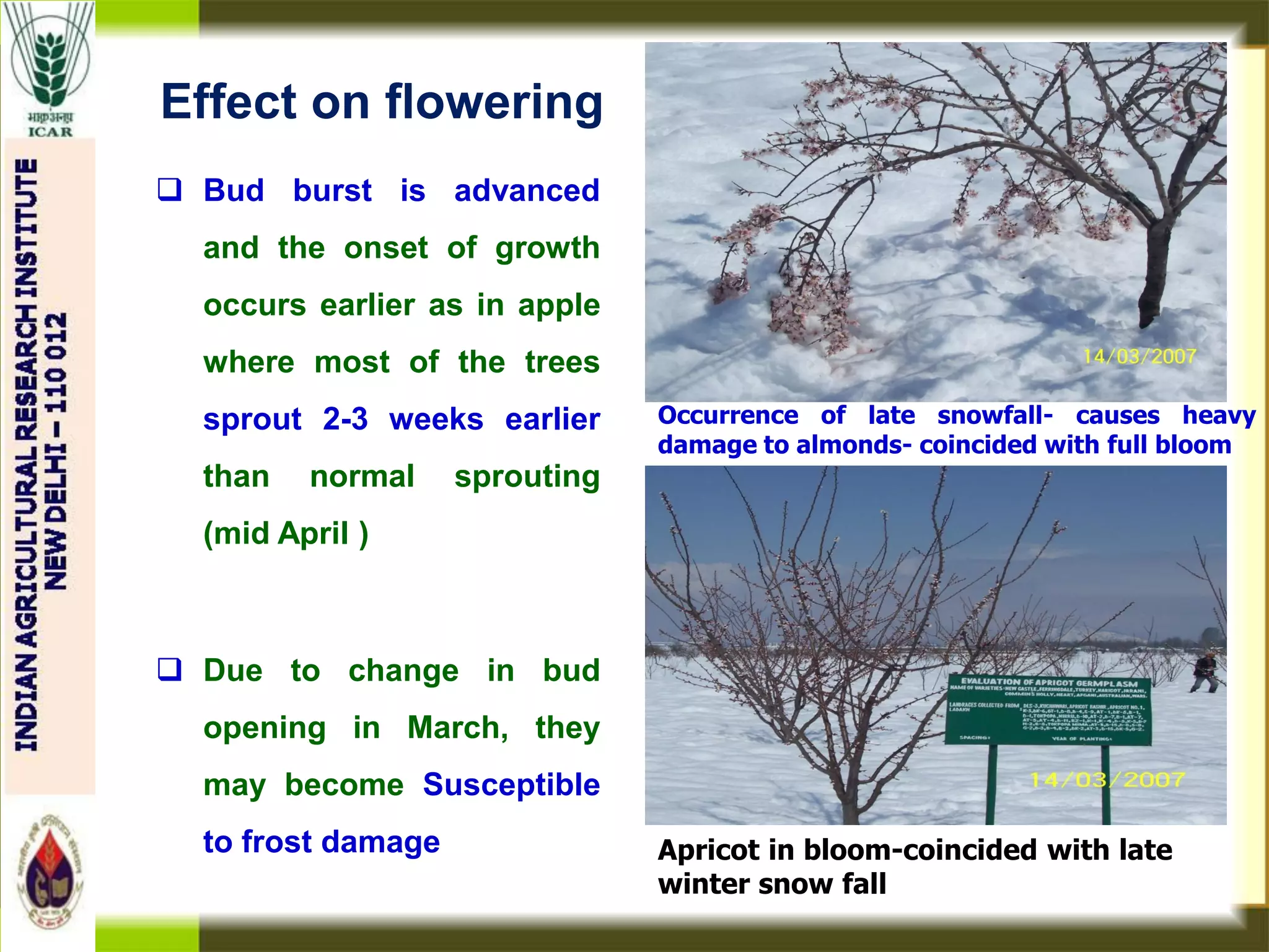 Climate change impact on productivity and quality of temperate fruits ...