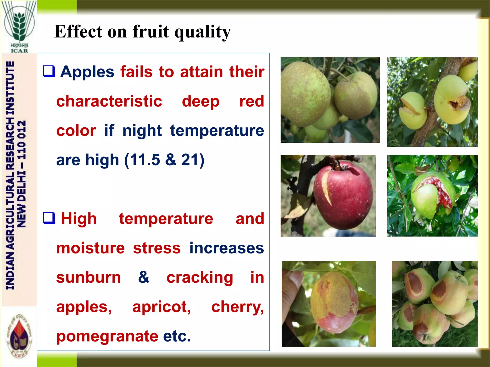 Climate change impact on productivity and quality of temperate fruits ...