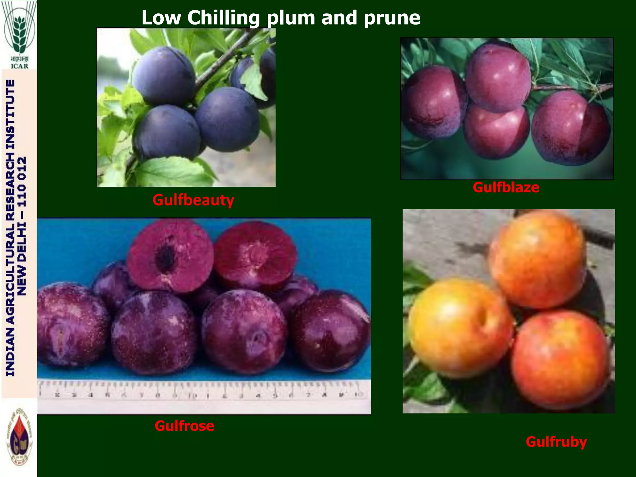 Climate change impact on productivity and quality of temperate fruits ...