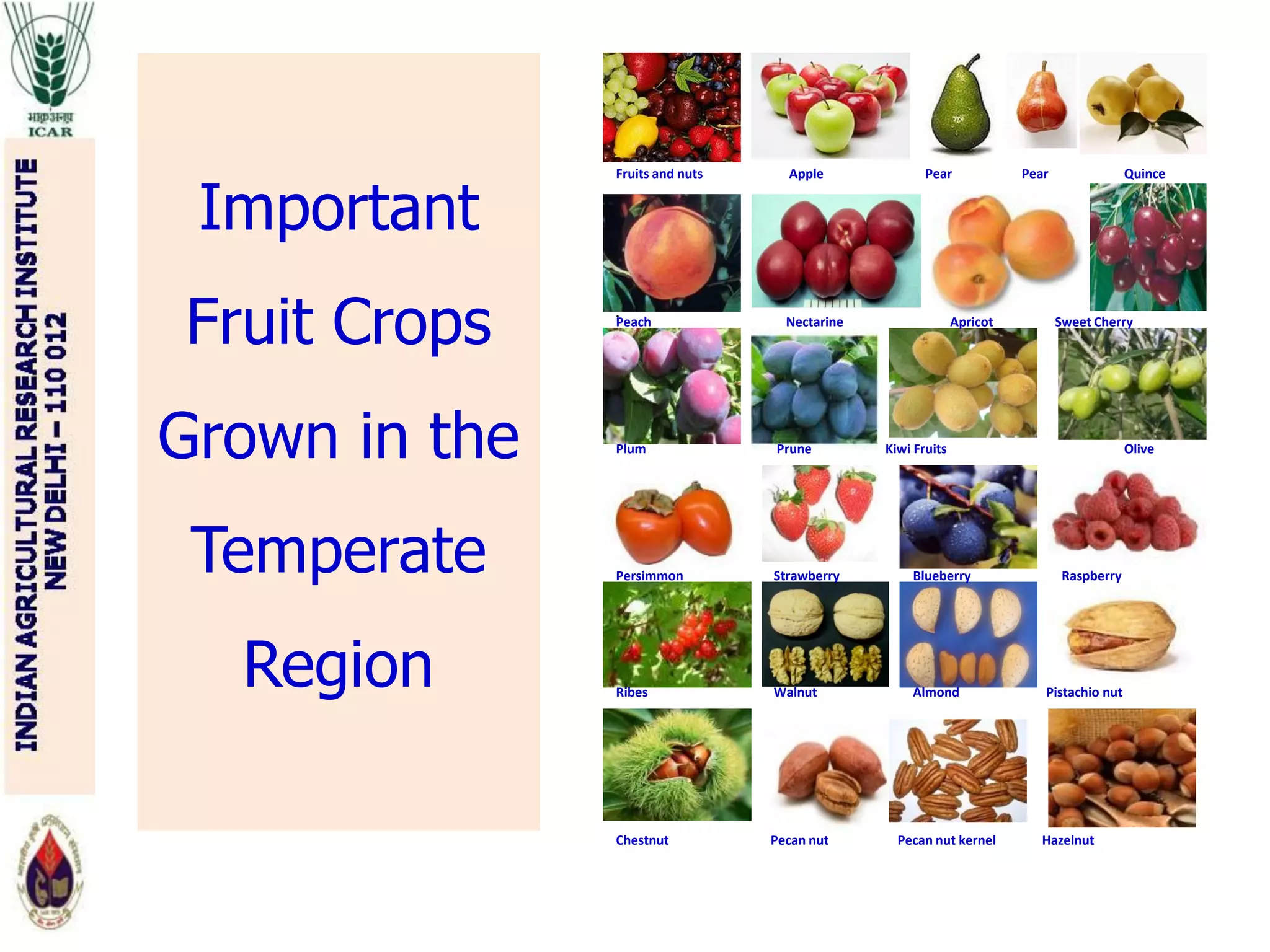 Climate change impact on productivity and quality of temperate fruits ...