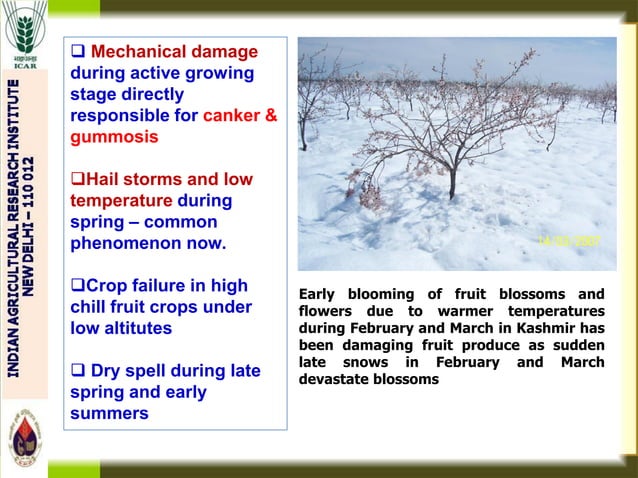 Climate change impact on productivity and quality of temperate fruits ...