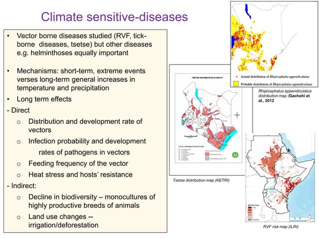 Climate change impacts on animal health and vector borne diseases | PDF