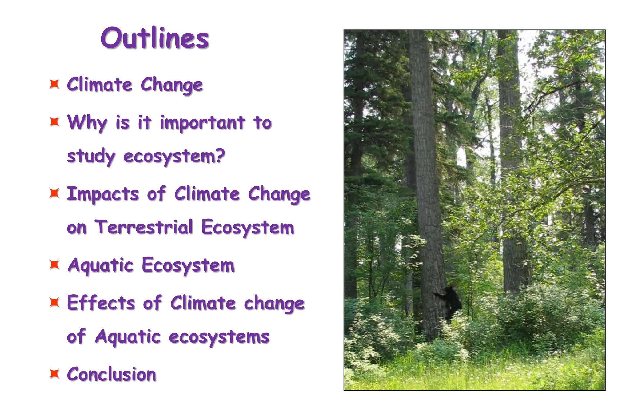 Climate Change Impacts on Terrestrial and Aquatic Ecosystems.pptx