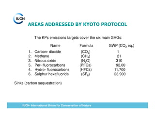Climate change mitigation Saadullah Ayaz | PPT