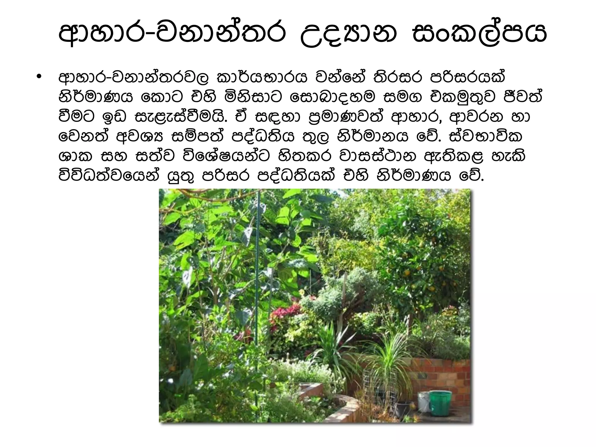 Impact of Climate change on agriculture (Sinhala) | PDF