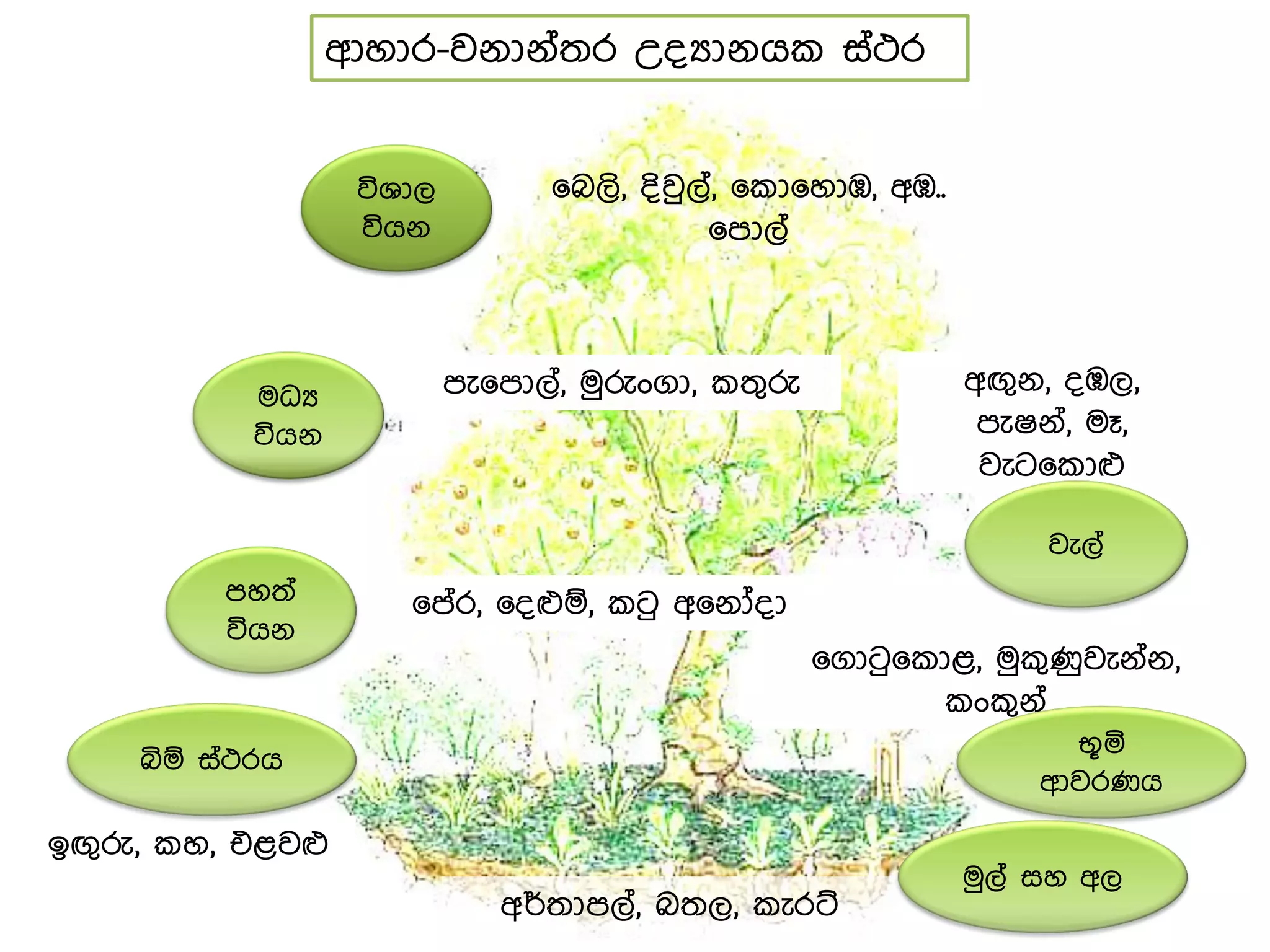 Impact of Climate change on agriculture (Sinhala) | PDF