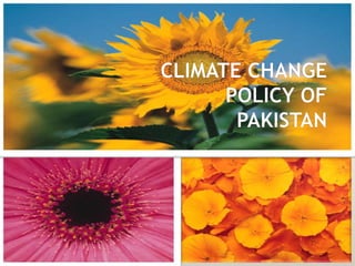 Climate change policy of pakistan | PPTX