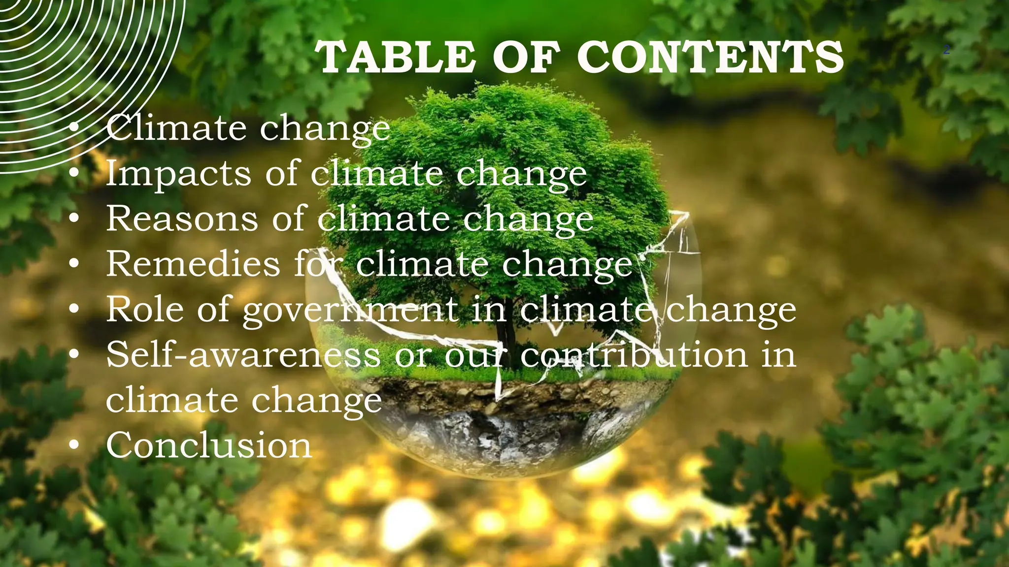 Consequences of Climate Change presentation | PPTX