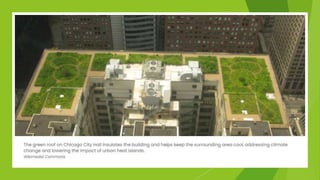 Climate Change Science: Impact and Adaptation | PPTX