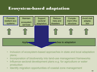 Adaptation to Climate Change by Rebecca Shaw | PPT